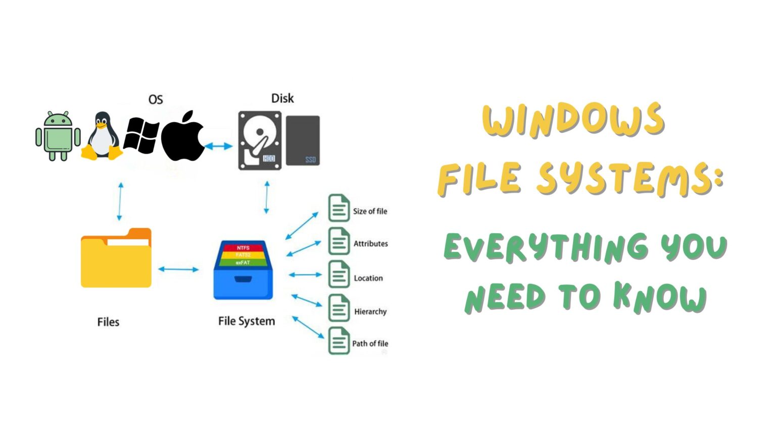 Windows File Systems: Everything You Need to Know